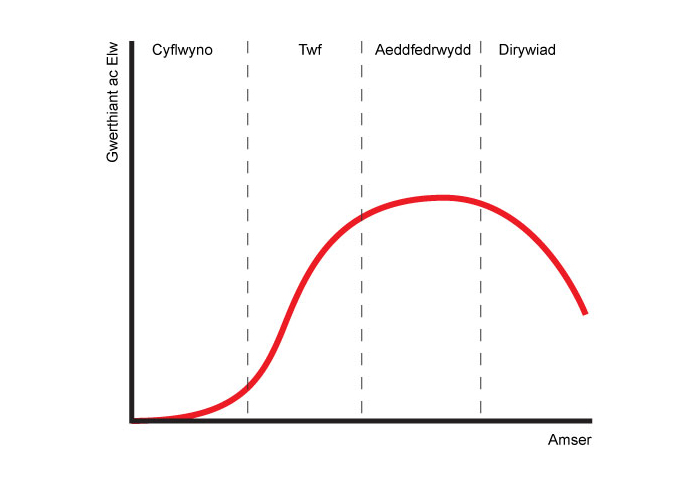 Dylunio a Thechnoleg | Design and Technology